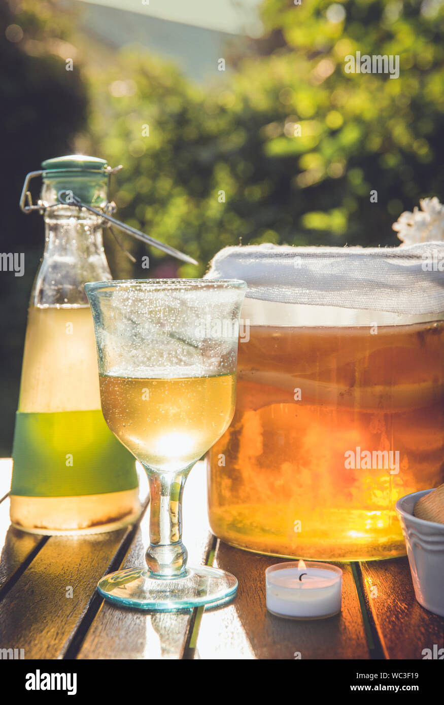 Tea flower mushroom hi-res stock photography and images - Alamy