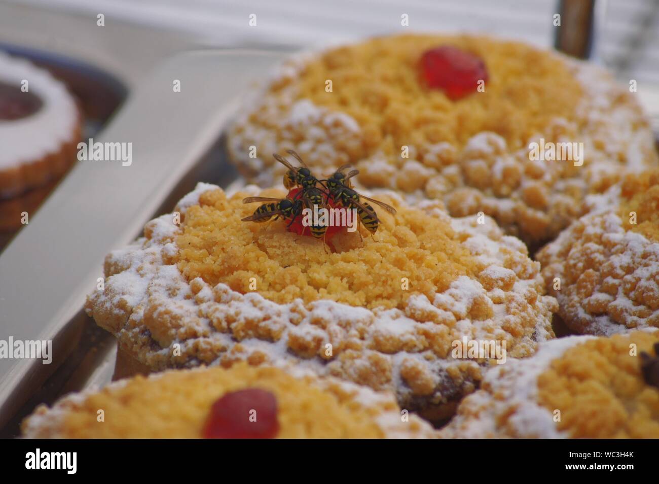 Food For Bees High Resolution Stock Photography and Images - Alamy