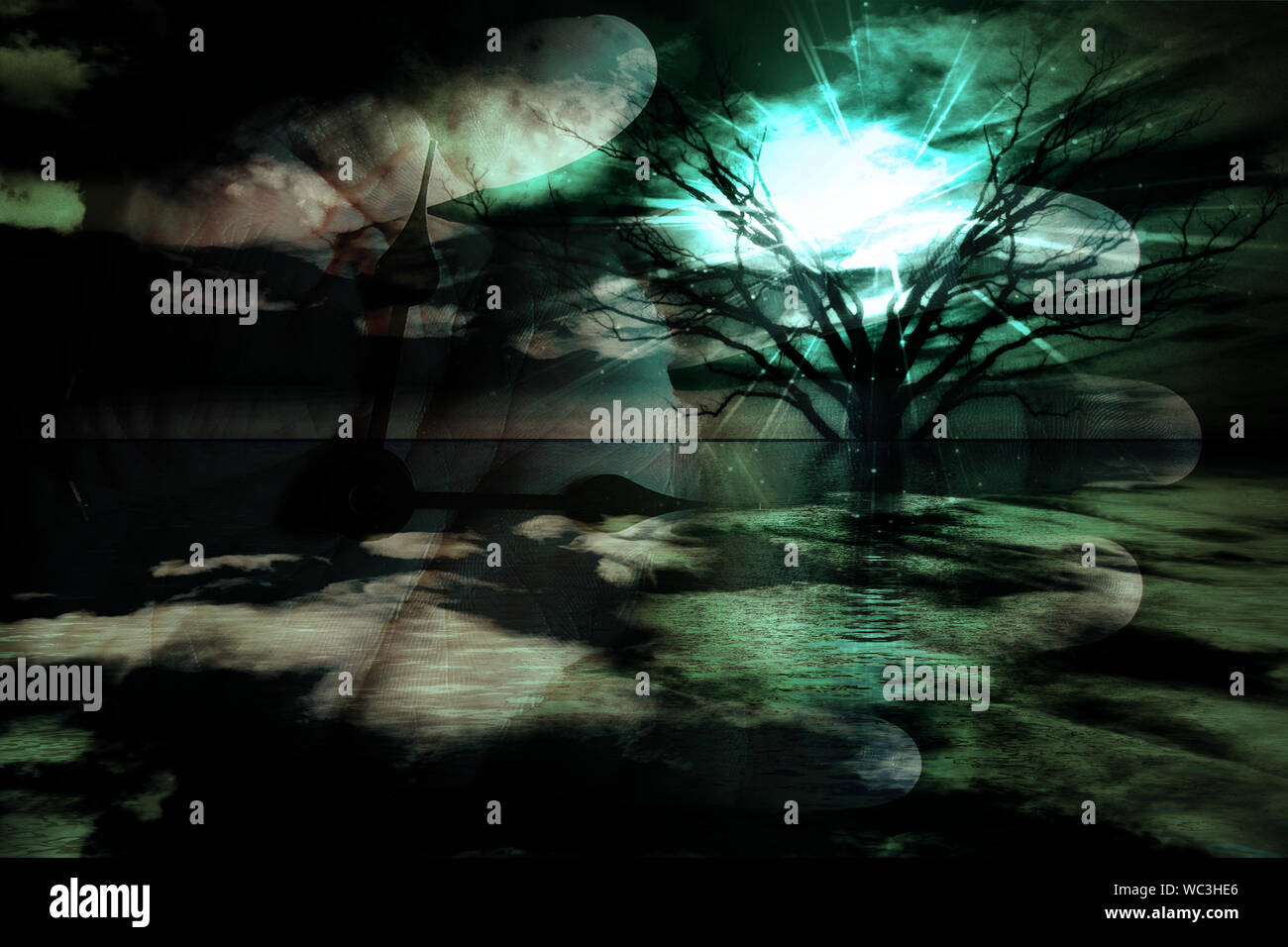 Surreal Landscape. Tree and mystic light Stock Photo - Alamy