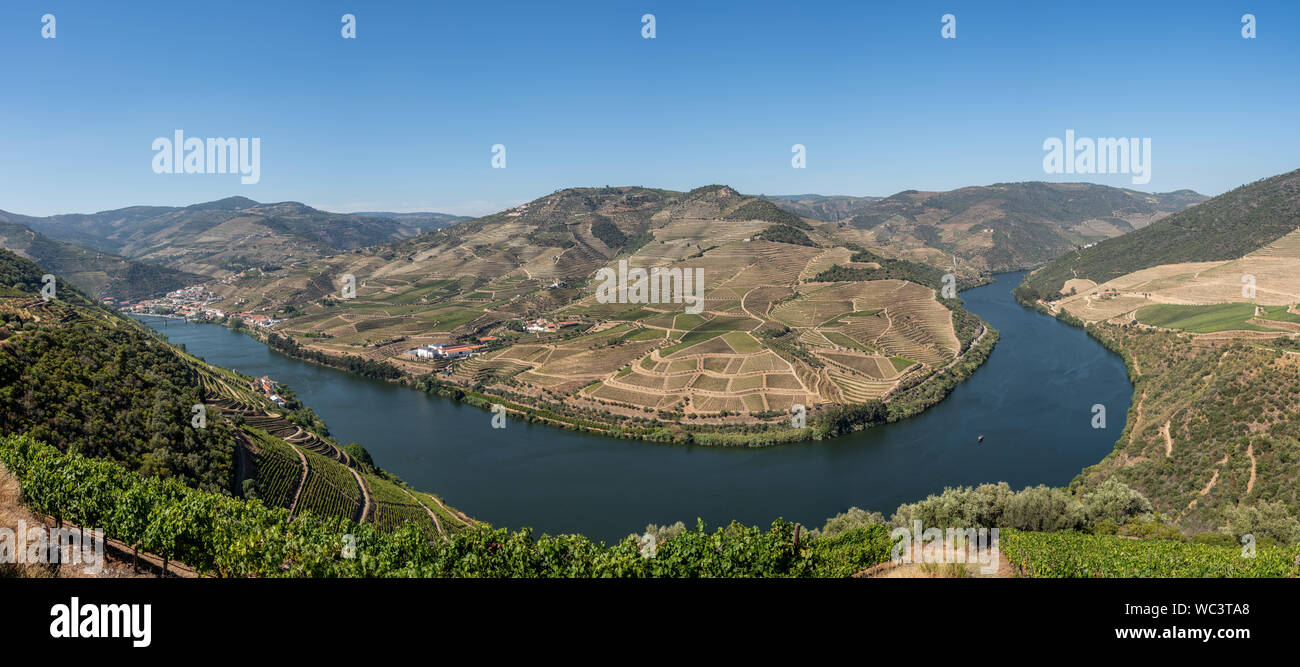Rows of grape vines line the valley of the River Douro in Portugal ...