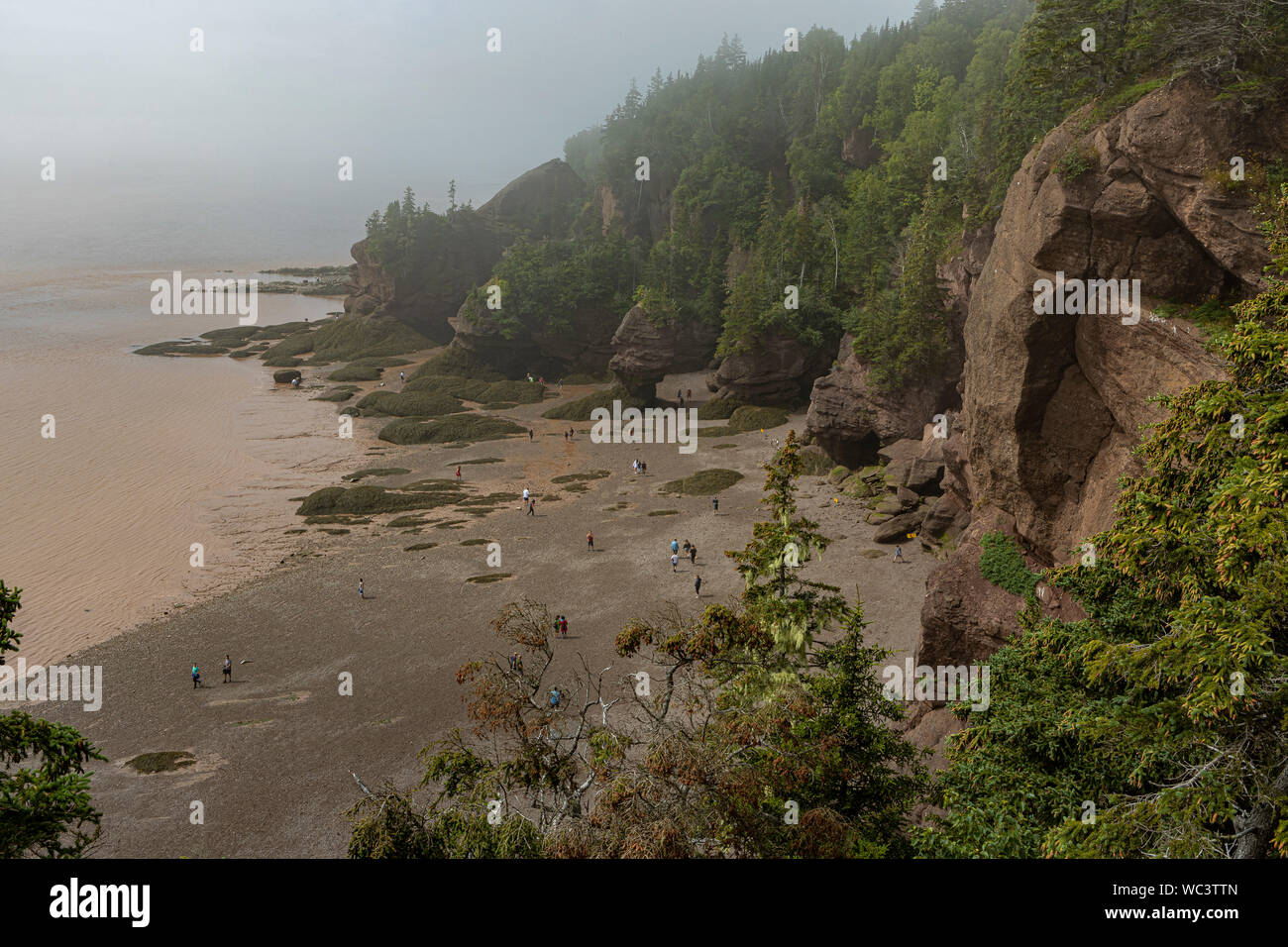 Google Maps Hopewell Rocks
