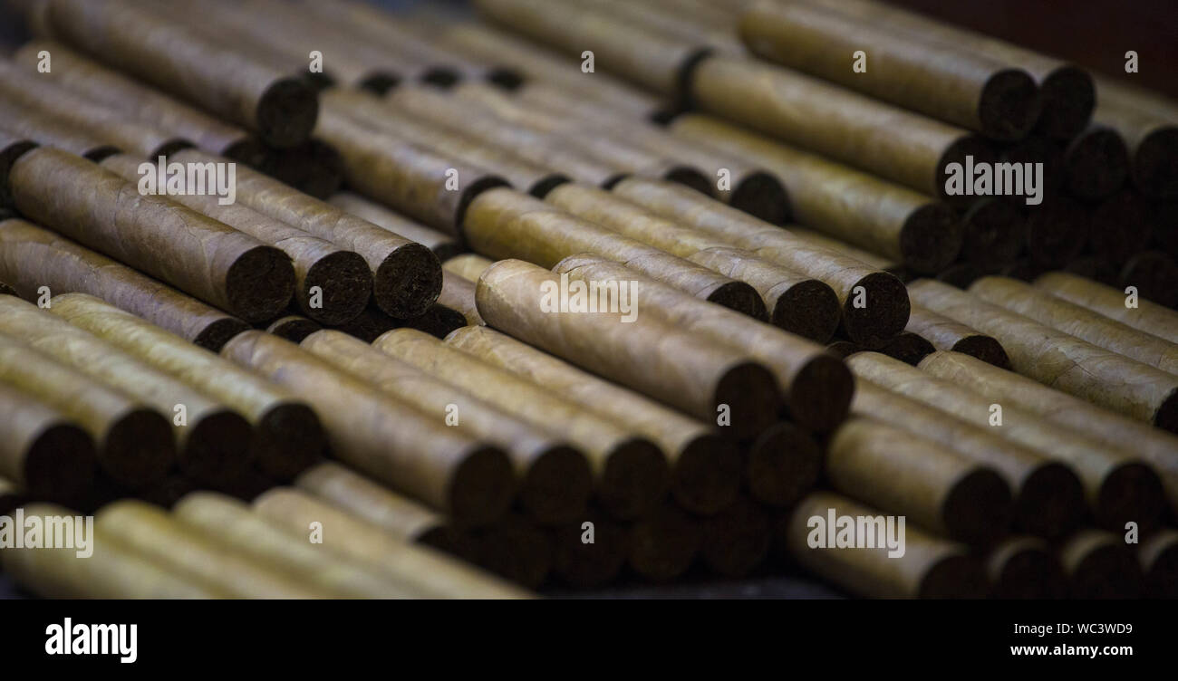 Large Cigar High Resolution Stock Photography and Images - Alamy