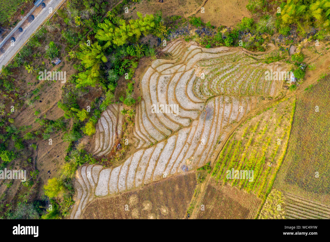 Rice Terraces, Cabagna-an Mansalanao, La Castellana, Philippines Stock ...