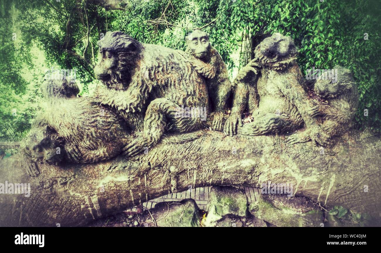 Statues Of Monkeys On Tree Trunk Stock Photo - Alamy