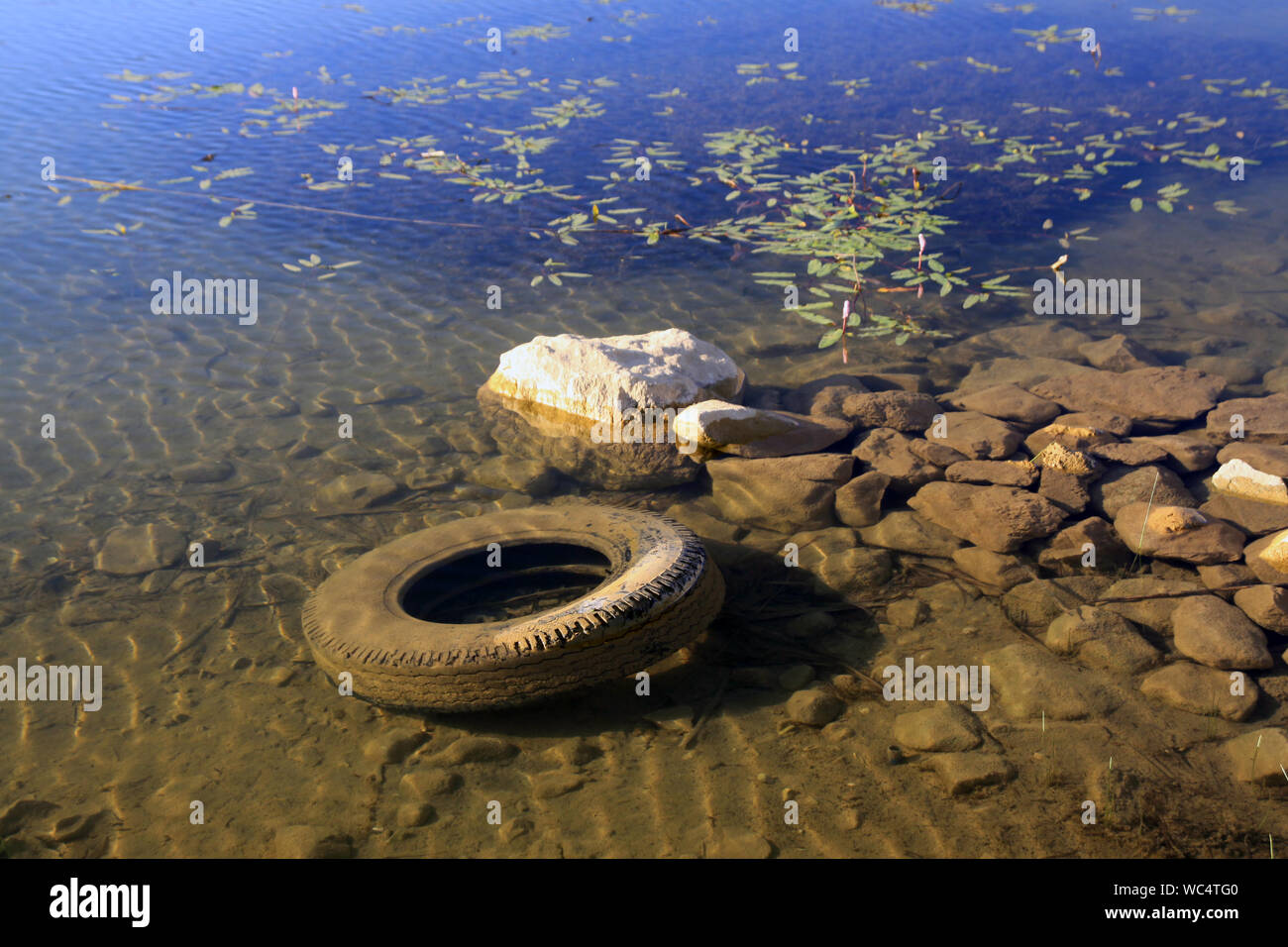 Water Pollution in a lake Stock Photo - Alamy