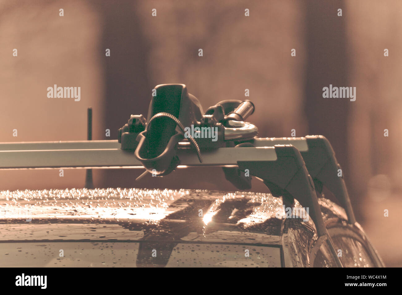 Car section hi-res stock photography and images - Alamy