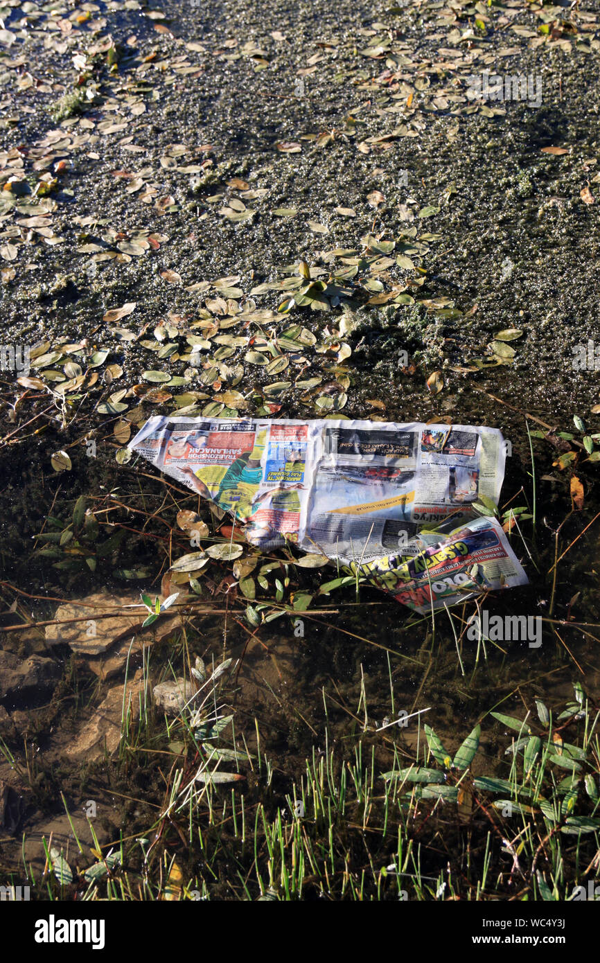 Water Pollution in a lake Stock Photo - Alamy