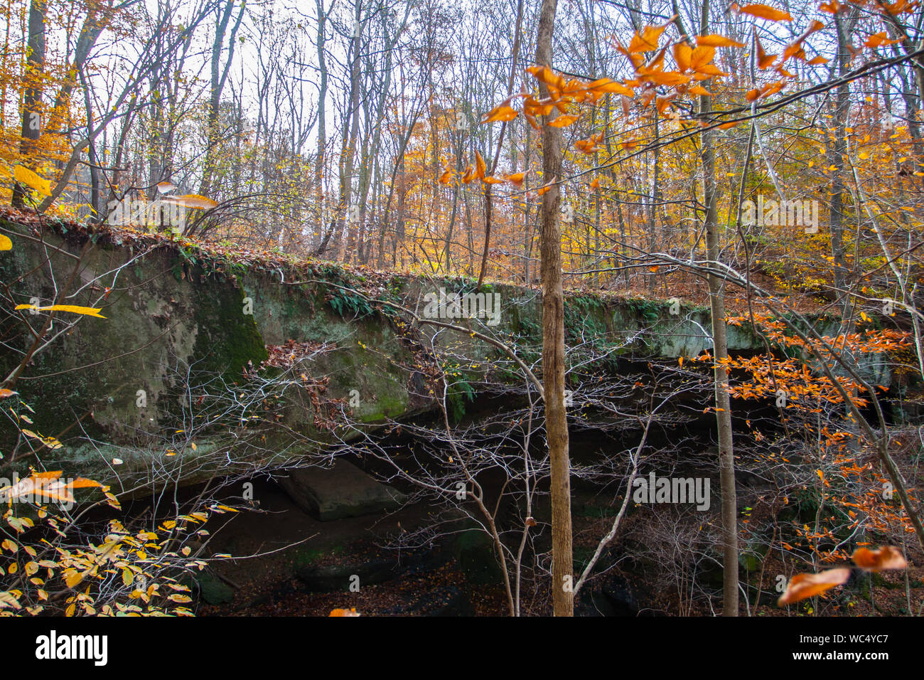 Rockbridge, Rockbridge State Nature Preserve, Ohio Stock Photo - Alamy