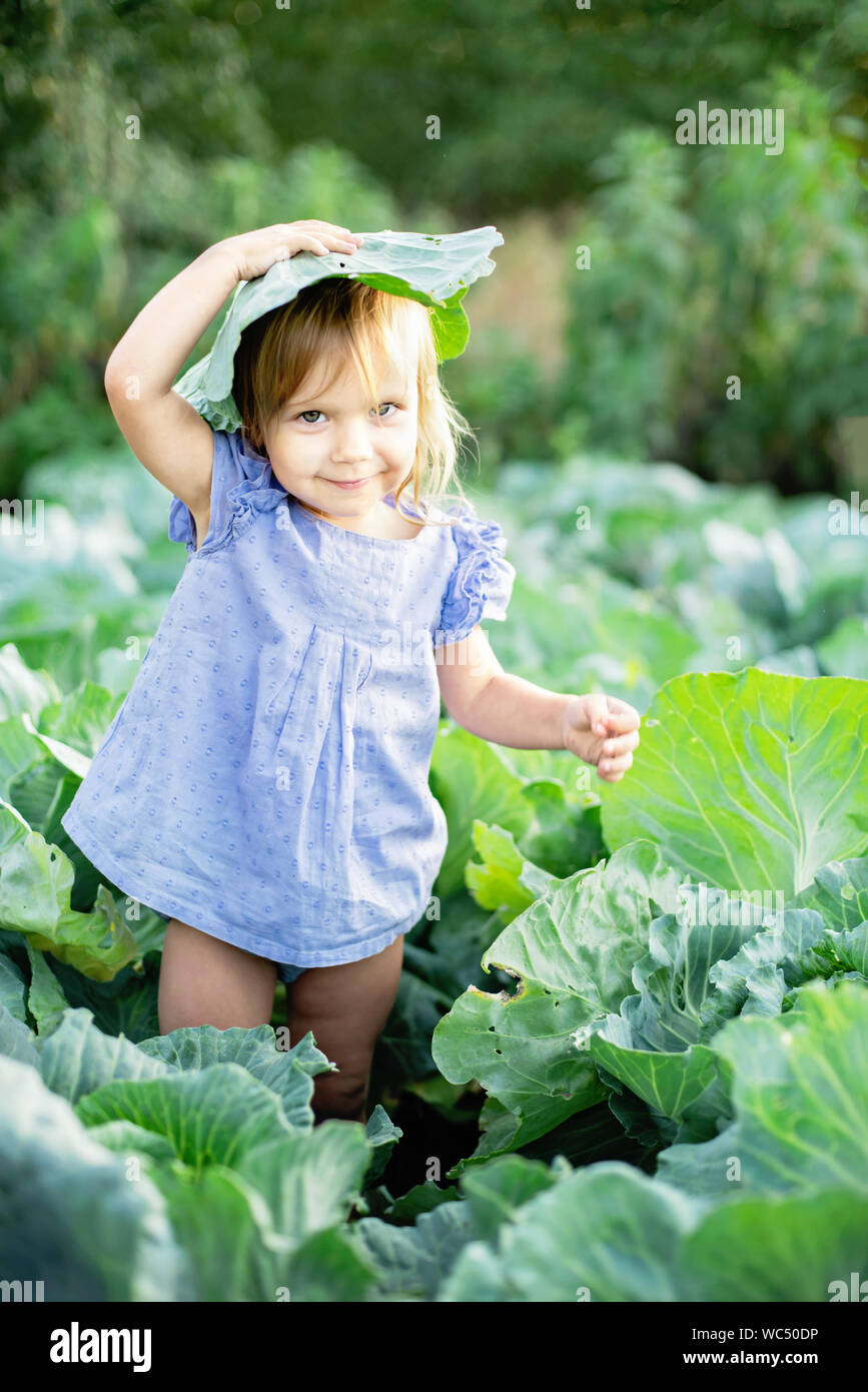 Baby sitting in cabbage plant. Cute little girl on cabbage field ...