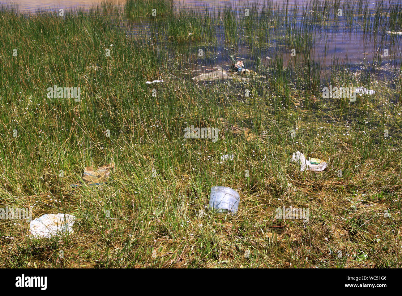 Water Pollution in a lake Stock Photo - Alamy