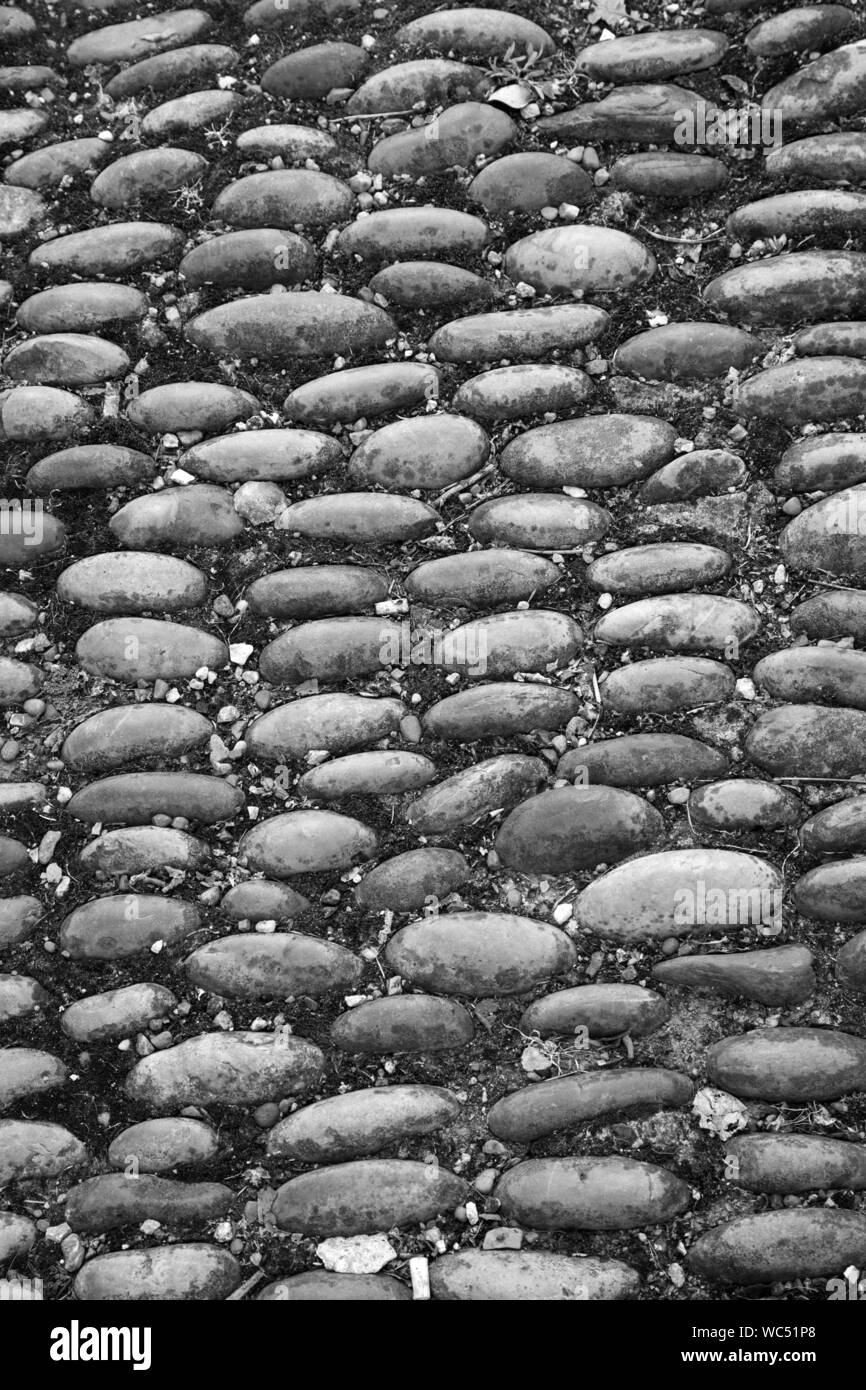 Exeter road hi-res stock photography and images - Alamy