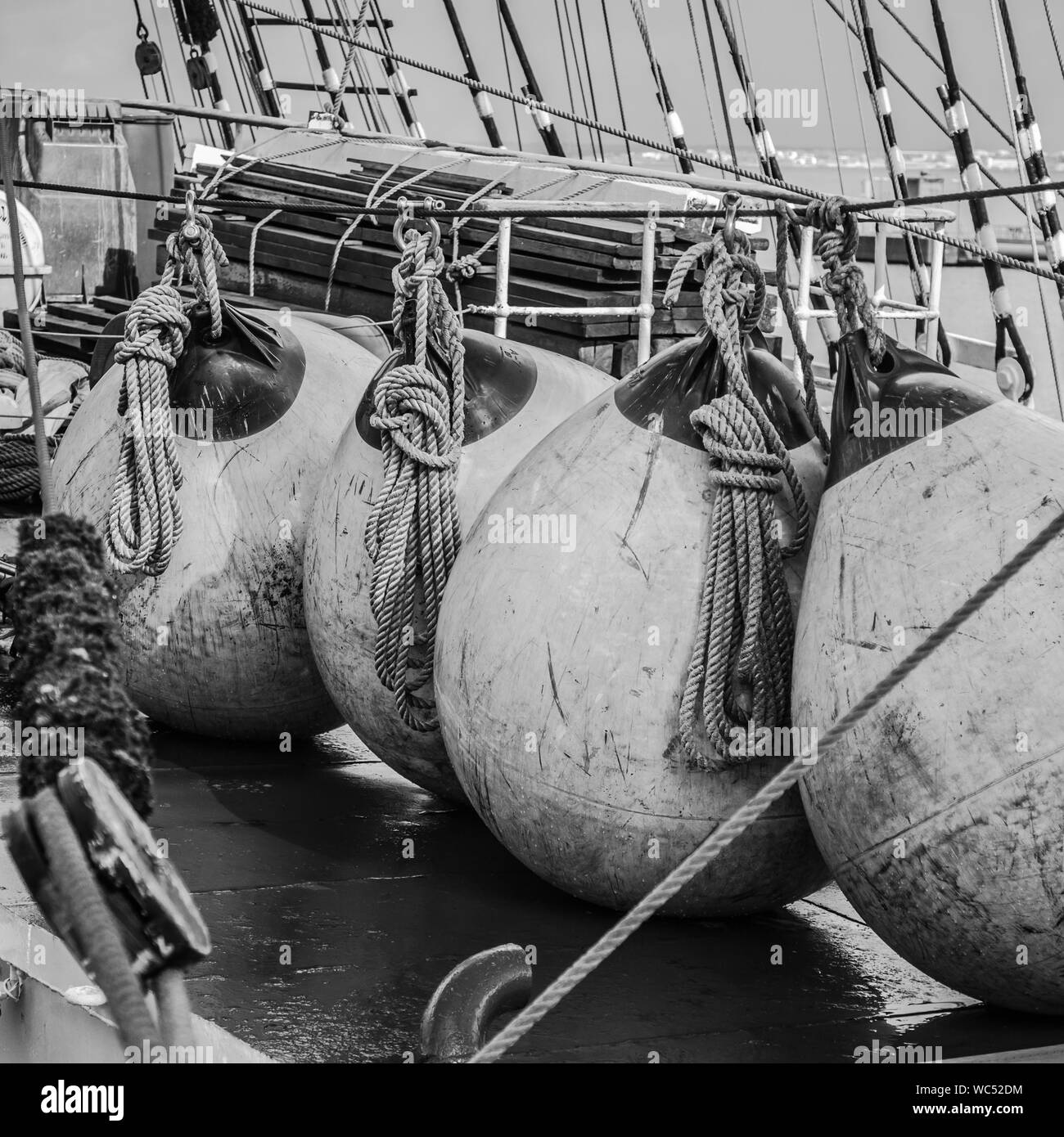 Life on a buoy Black and White Stock Photos & Images - Alamy