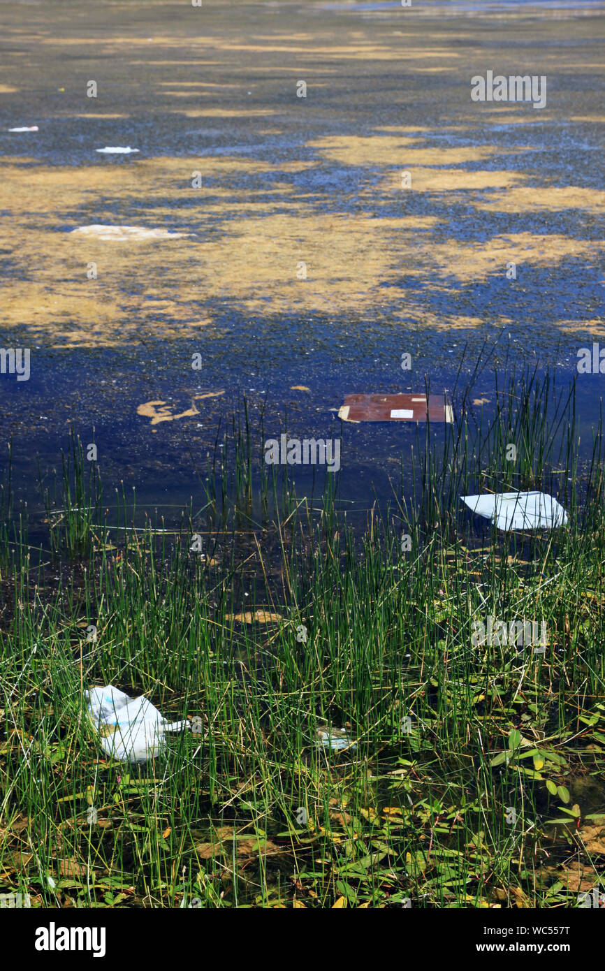 Water Pollution in a lake Stock Photo - Alamy