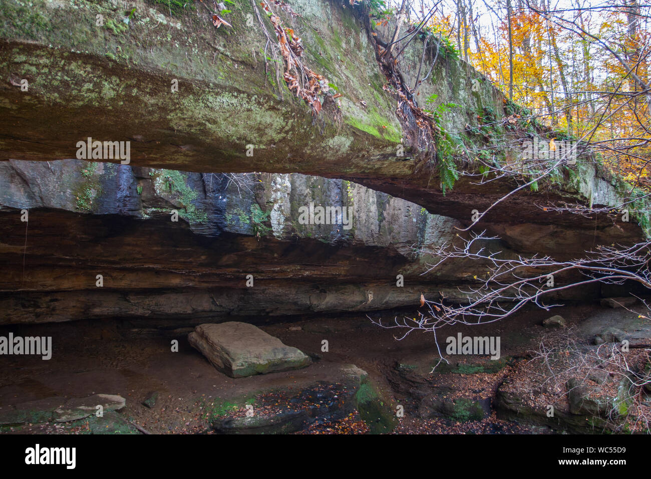 Rockbridge, Rockbridge State Nature Preserve, Ohio Stock Photo - Alamy