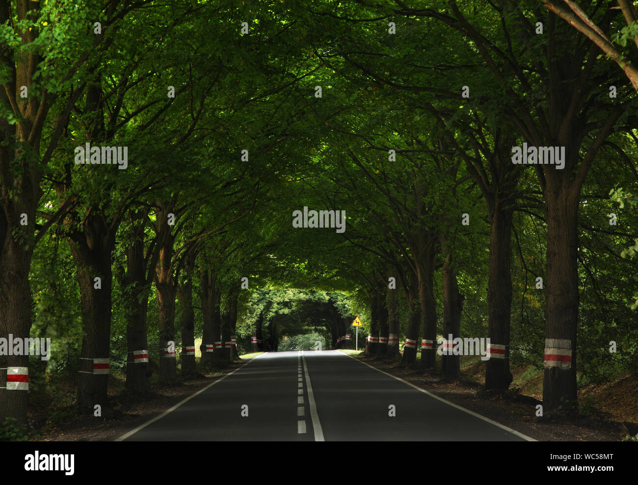 Chojna hi-res stock photography and images - Alamy