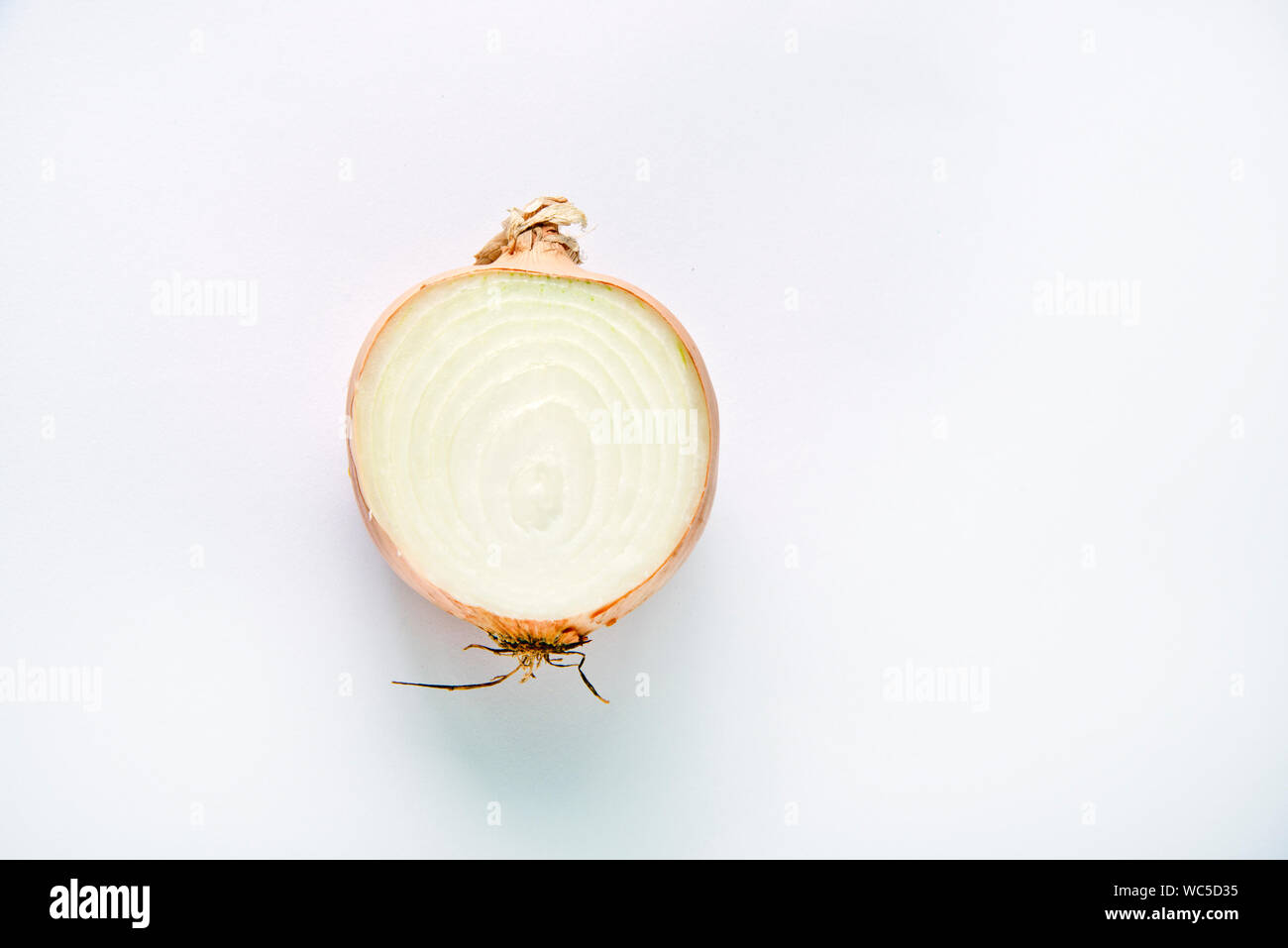 Cross section of onion hi-res stock photography and images - Alamy