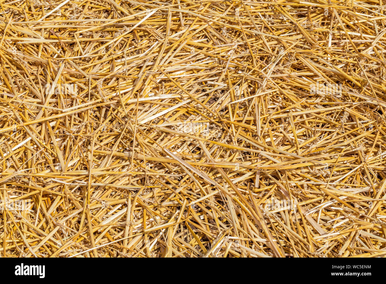 Straw surface hi-res stock photography and images - Alamy