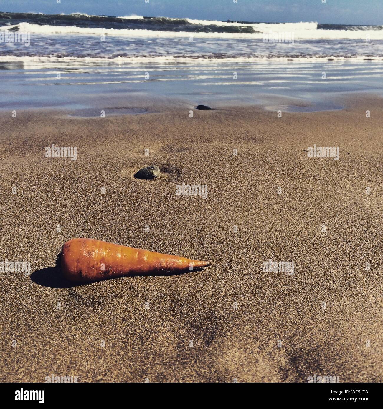Carrot On Beach Stock Photo - Alamy