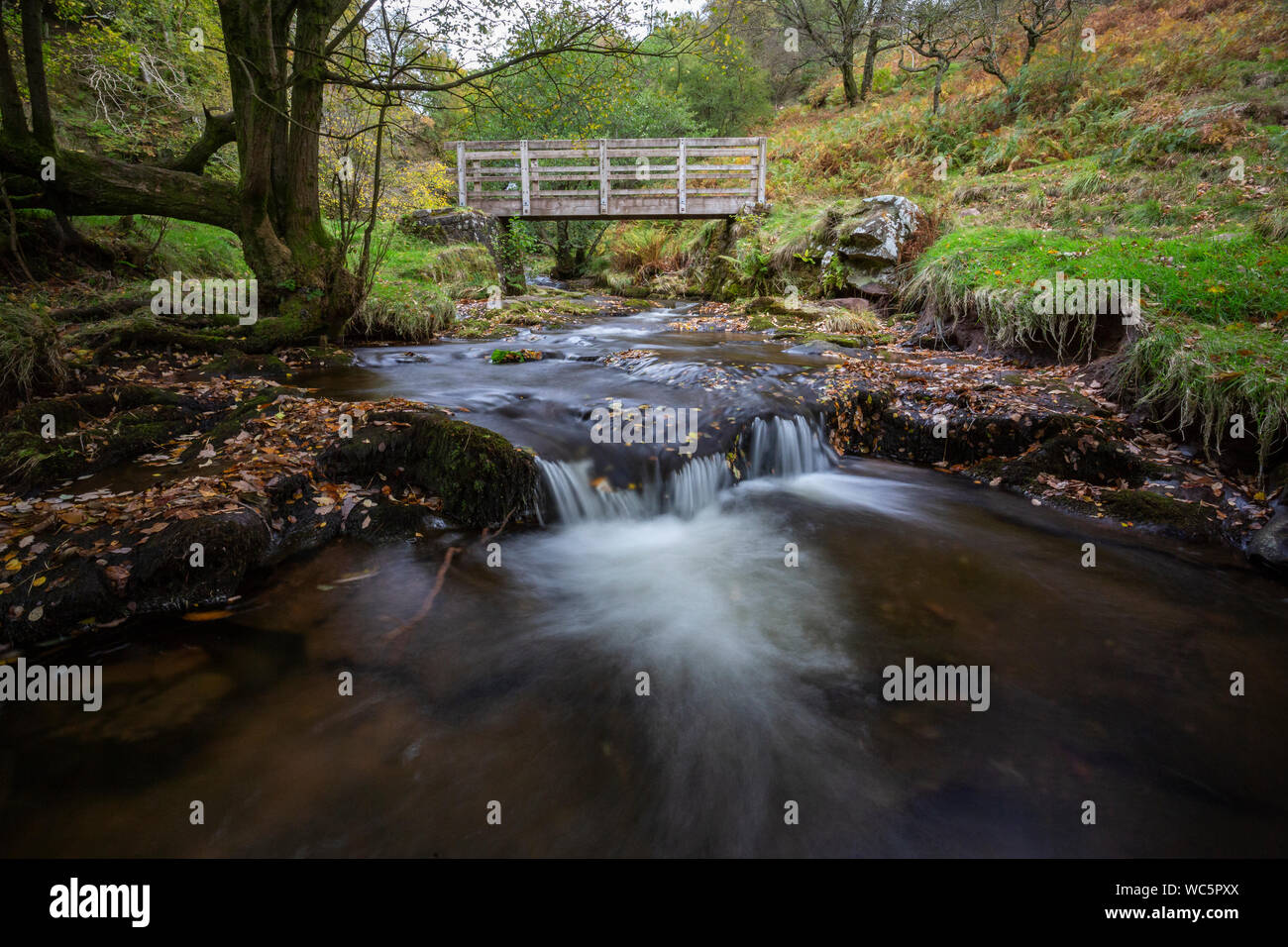 fast flowing stream Stock Photo - Alamy