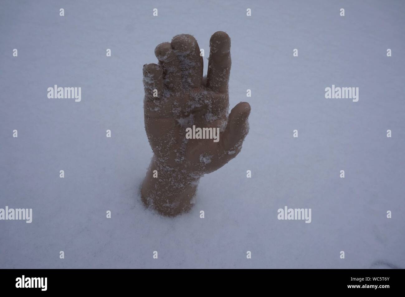 Frozen angel hi-res stock photography and images - Alamy