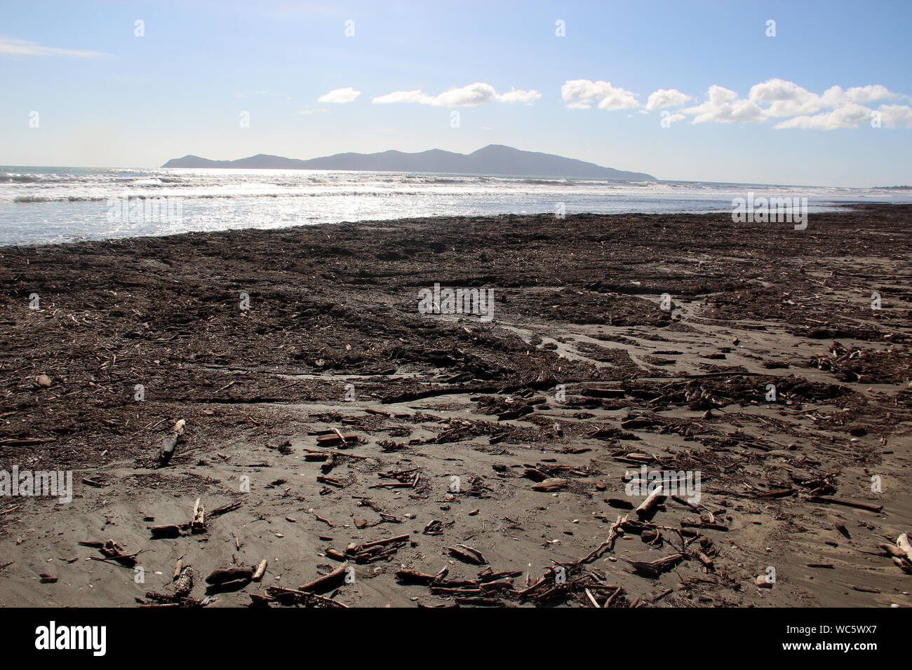 Logging and forest slash debris on beach Stock Photo - Alamy