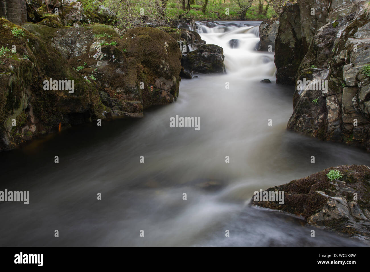 fast flowing stream Stock Photo - Alamy