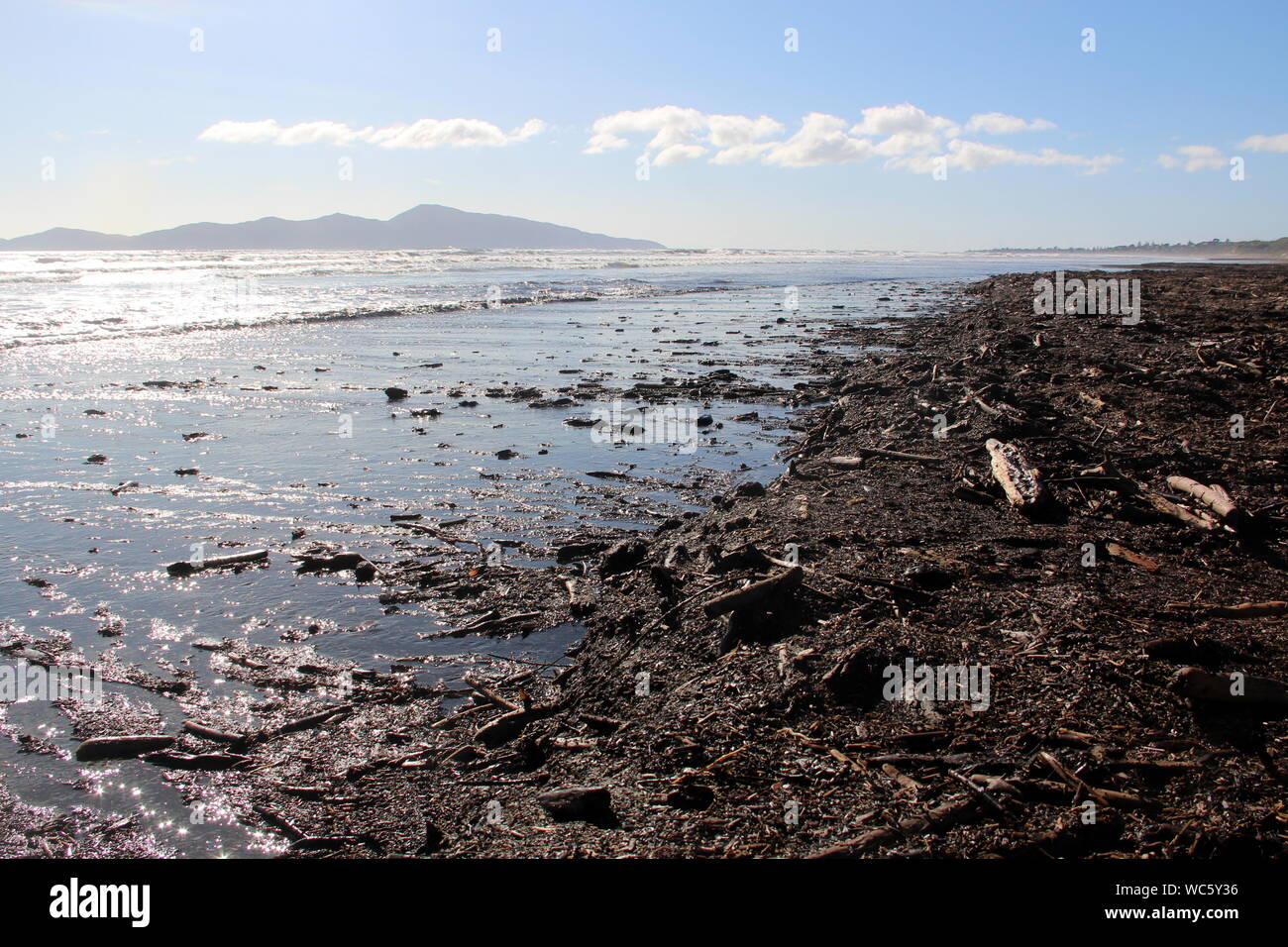 Splinter fir hi-res stock photography and images - Alamy