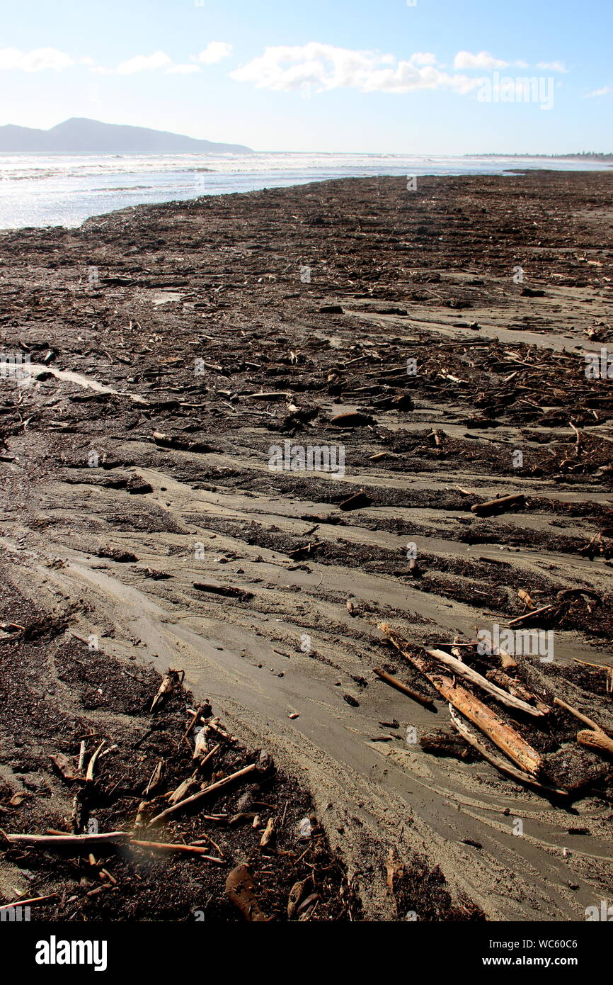 Logging and forest slash debris on beach Stock Photo - Alamy