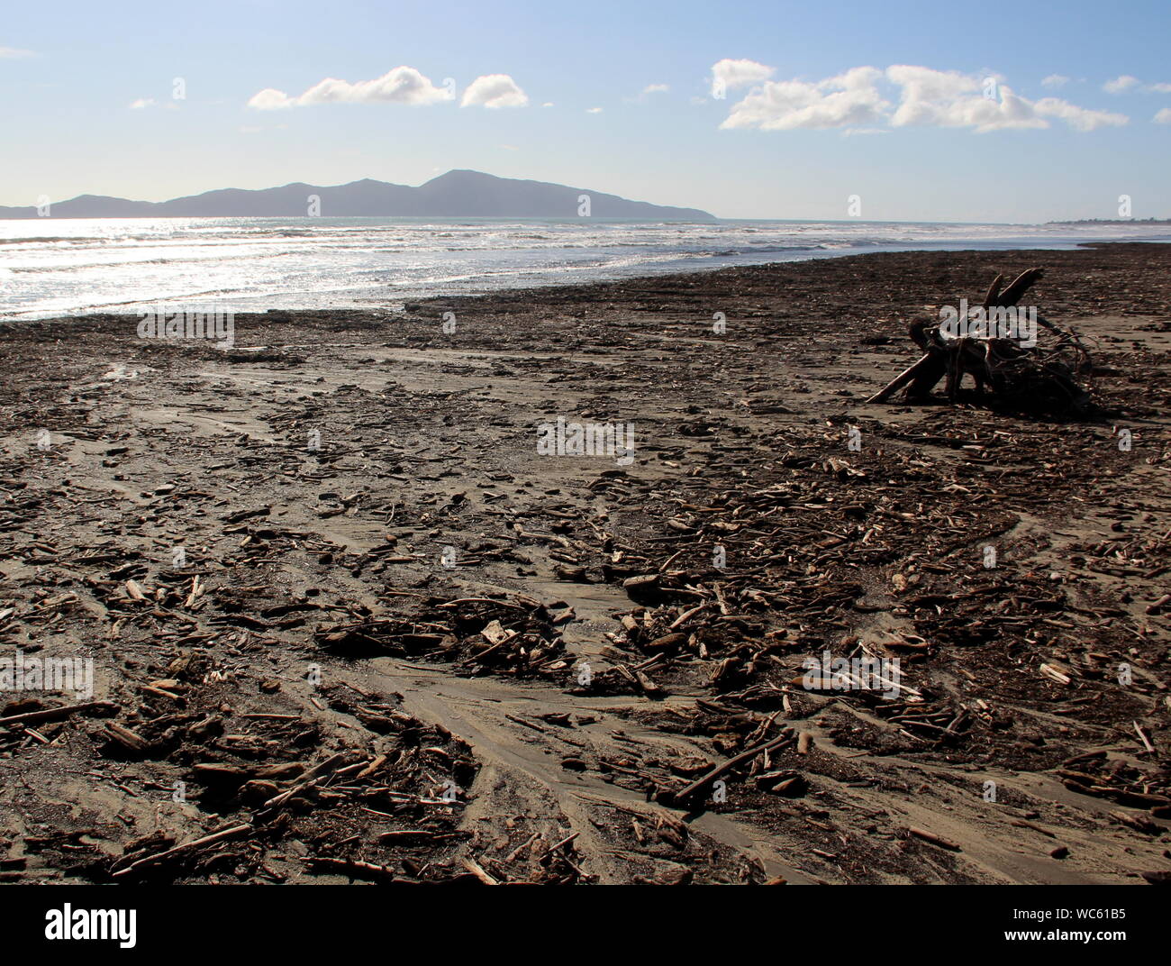 Logging and forest slash debris on beach Stock Photo - Alamy