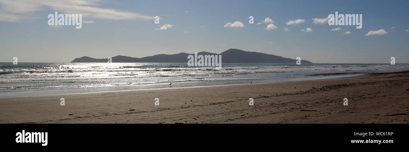 Logging and forest slash debris on beach Stock Photo - Alamy