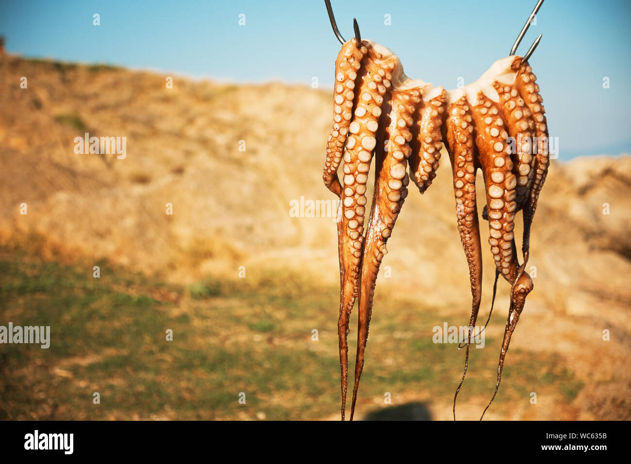 Meat hanging on hooks hi-res stock photography and images - Alamy