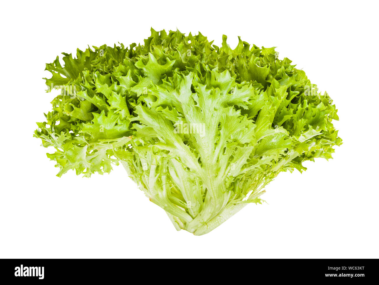 fresh green Ice leaf lettuce isolated on white background Stock Photo ...