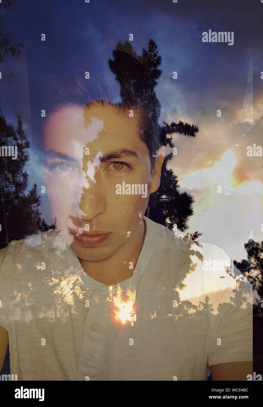 Double exposure man tree hi-res stock photography and images - Alamy