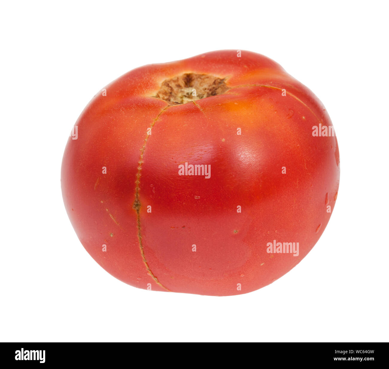 Single tomato fruit Cut Out Stock Images & Pictures - Alamy