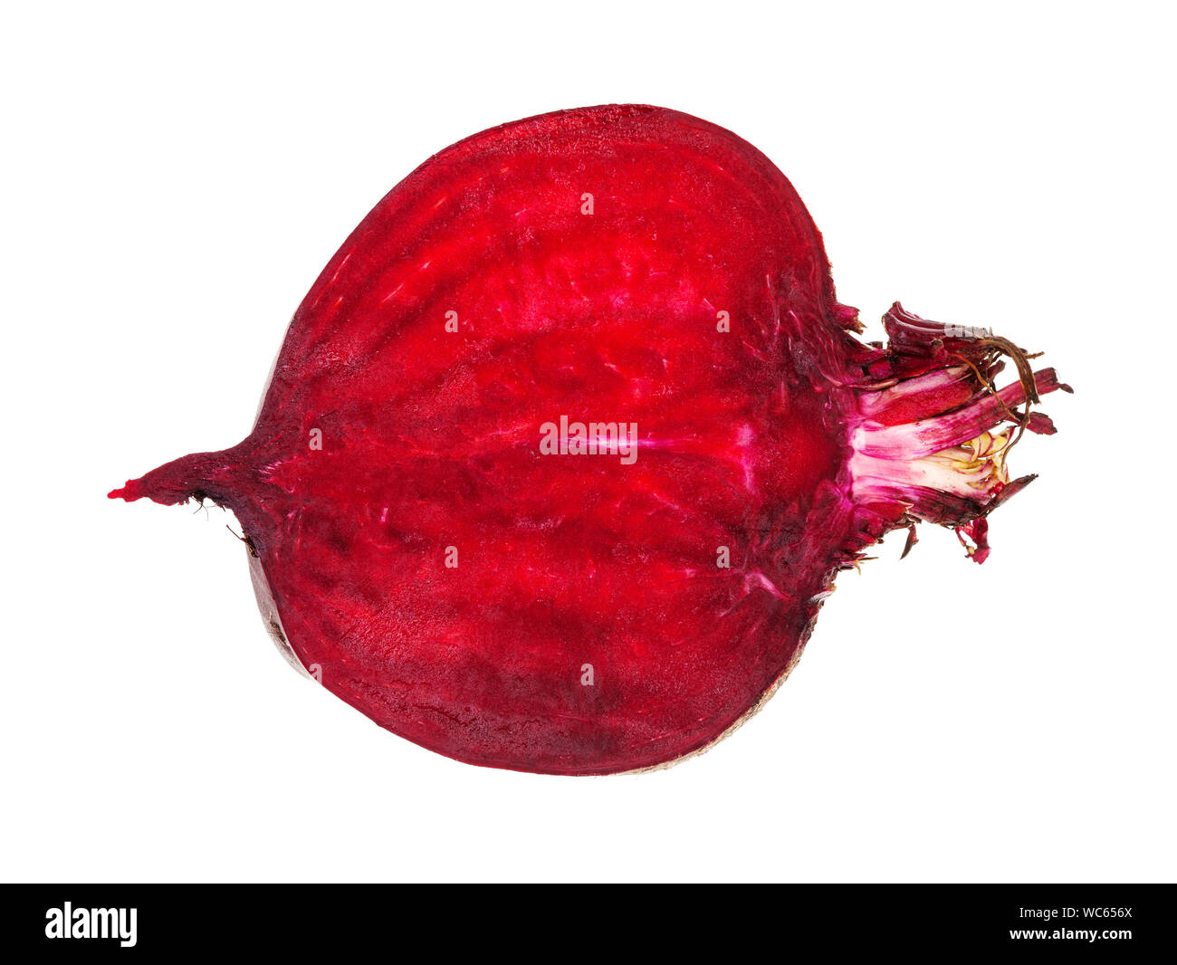 cross section of ripe garden beet root isolated on white background ...