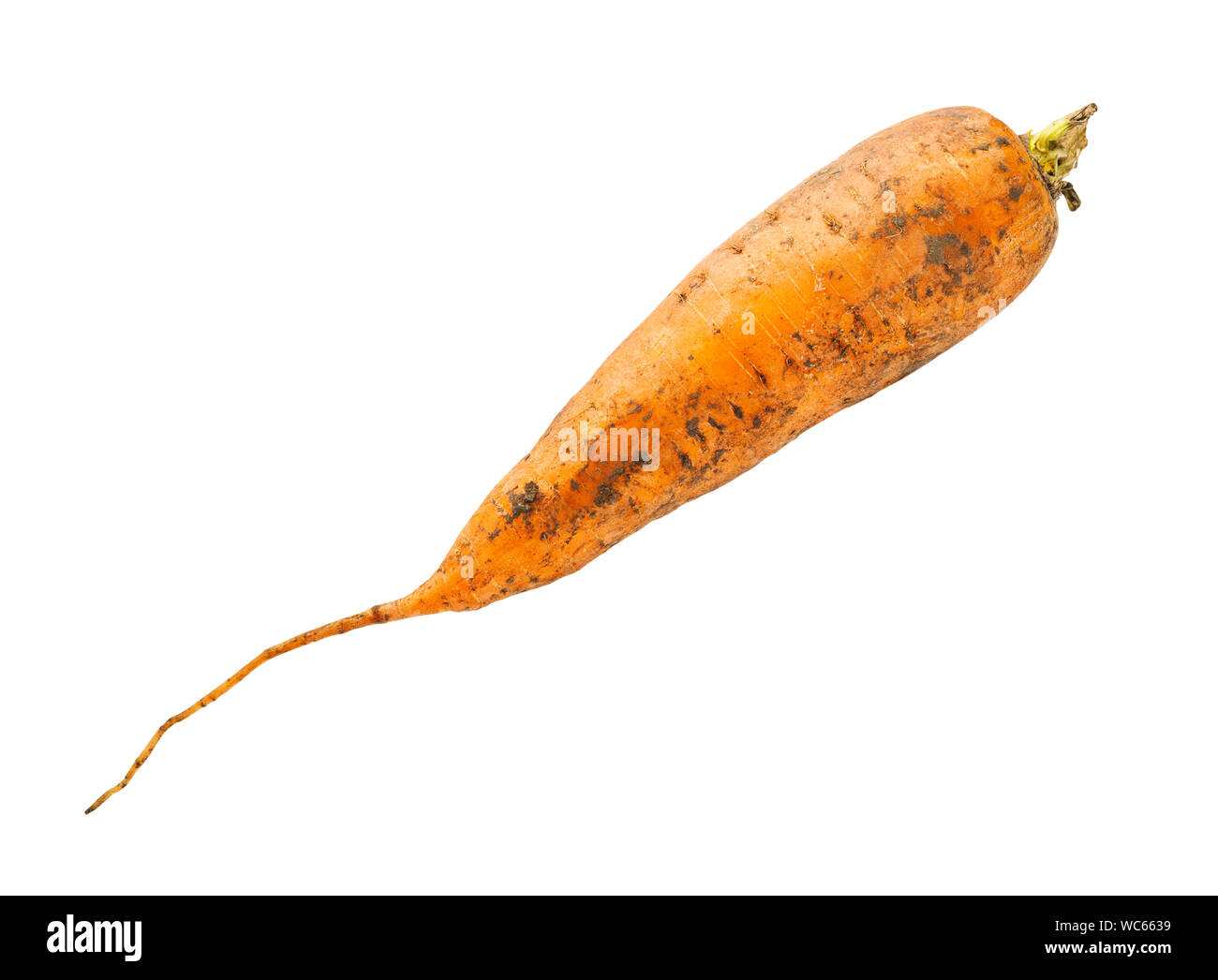 Single carrot white background hi-res stock photography and images - Alamy