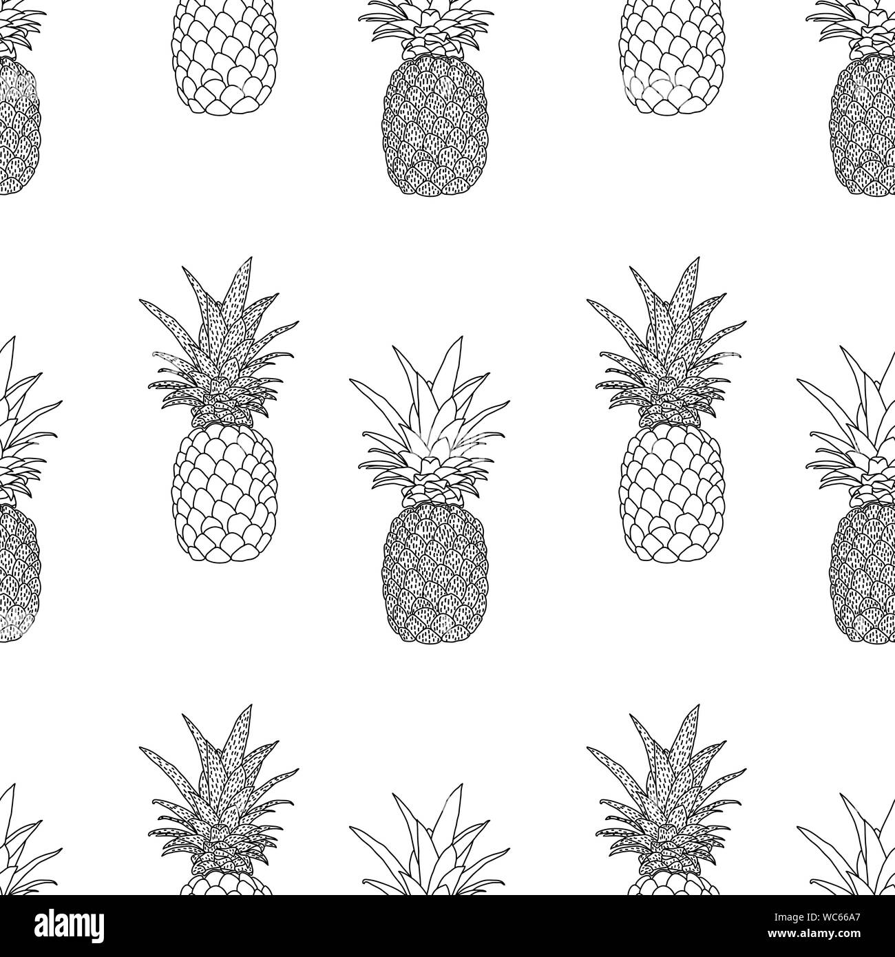 Hand-drawn black line pineapple seamless pattern. Isolated Stock Vector Image & Art - Alamy