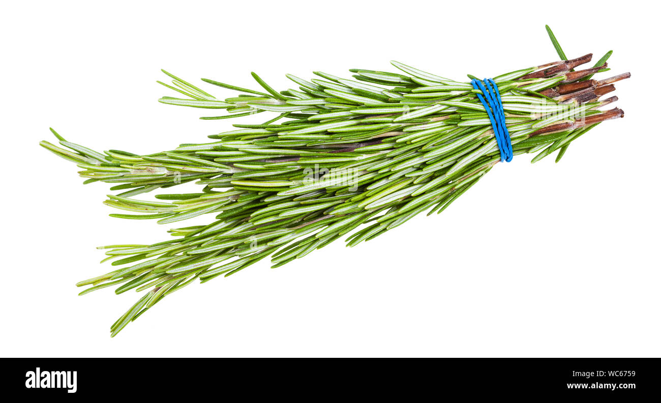 bunch of fresh rosemary herb isolated on white background Stock Photo ...