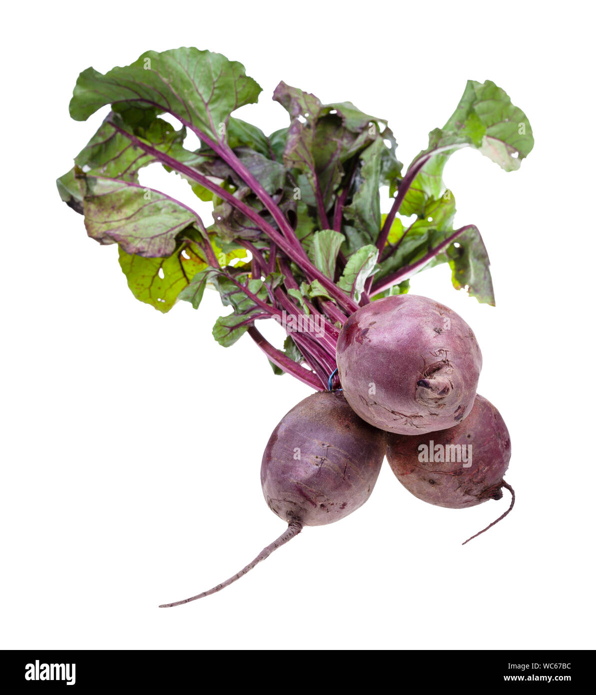 bunch of fresh organic garden beet roots with greens isolated on white ...