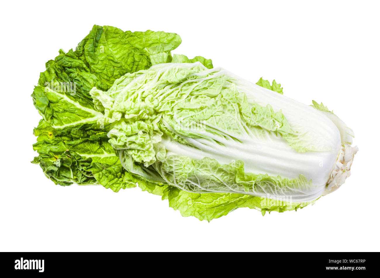 fresh Napa cabbage on green leaf isolated on white background Stock ...