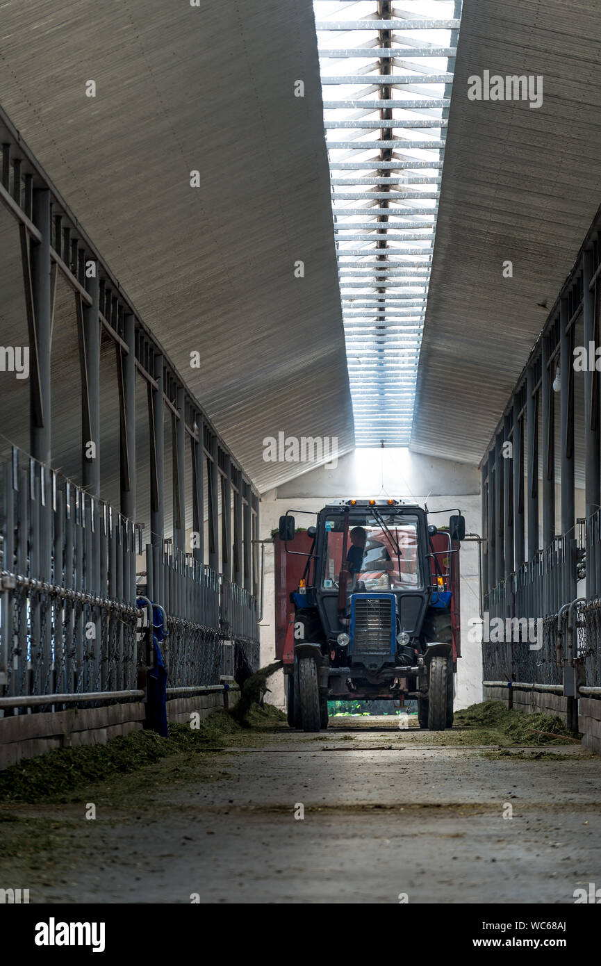 Empty cow shed hi-res stock photography and images - Alamy