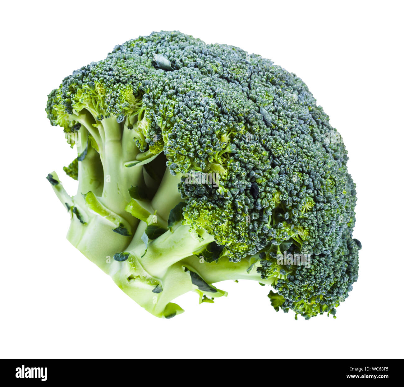 side view of fresh green Broccoli isolated on white background Stock ...