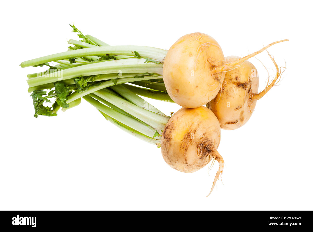 Yellow turnips hi-res stock photography and images - Alamy