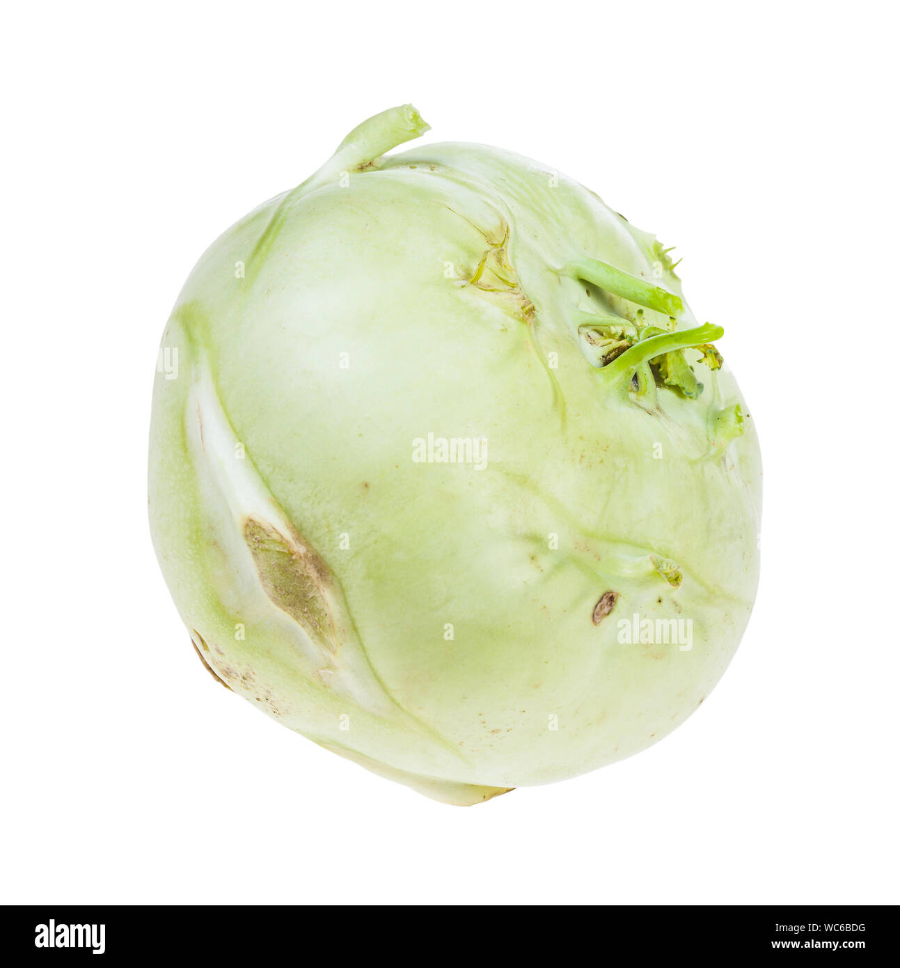 single fresh root of kohlrabi cabbage isolated on white background ...