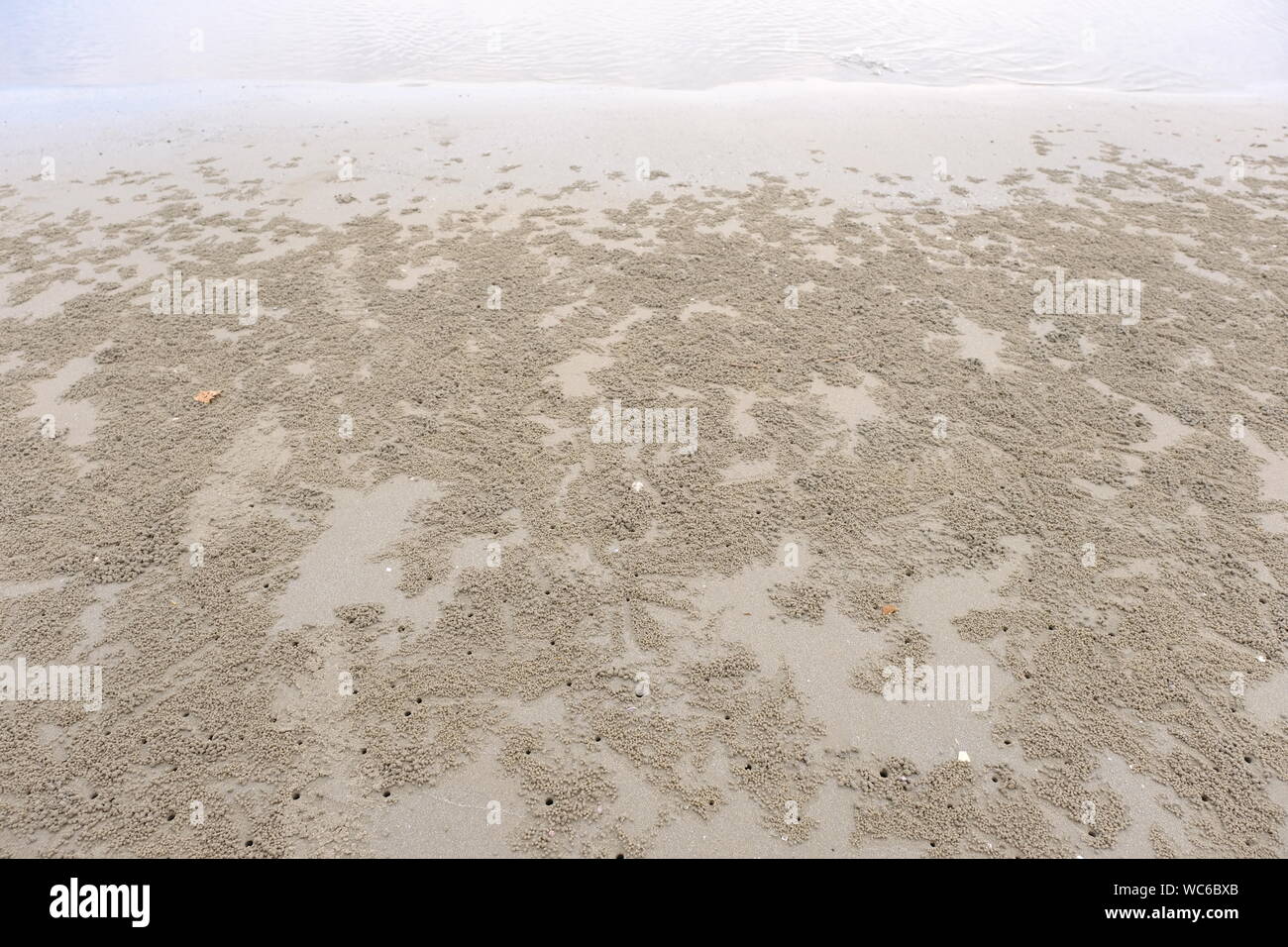 Aerial view sand beach hi-res stock photography and images - Alamy