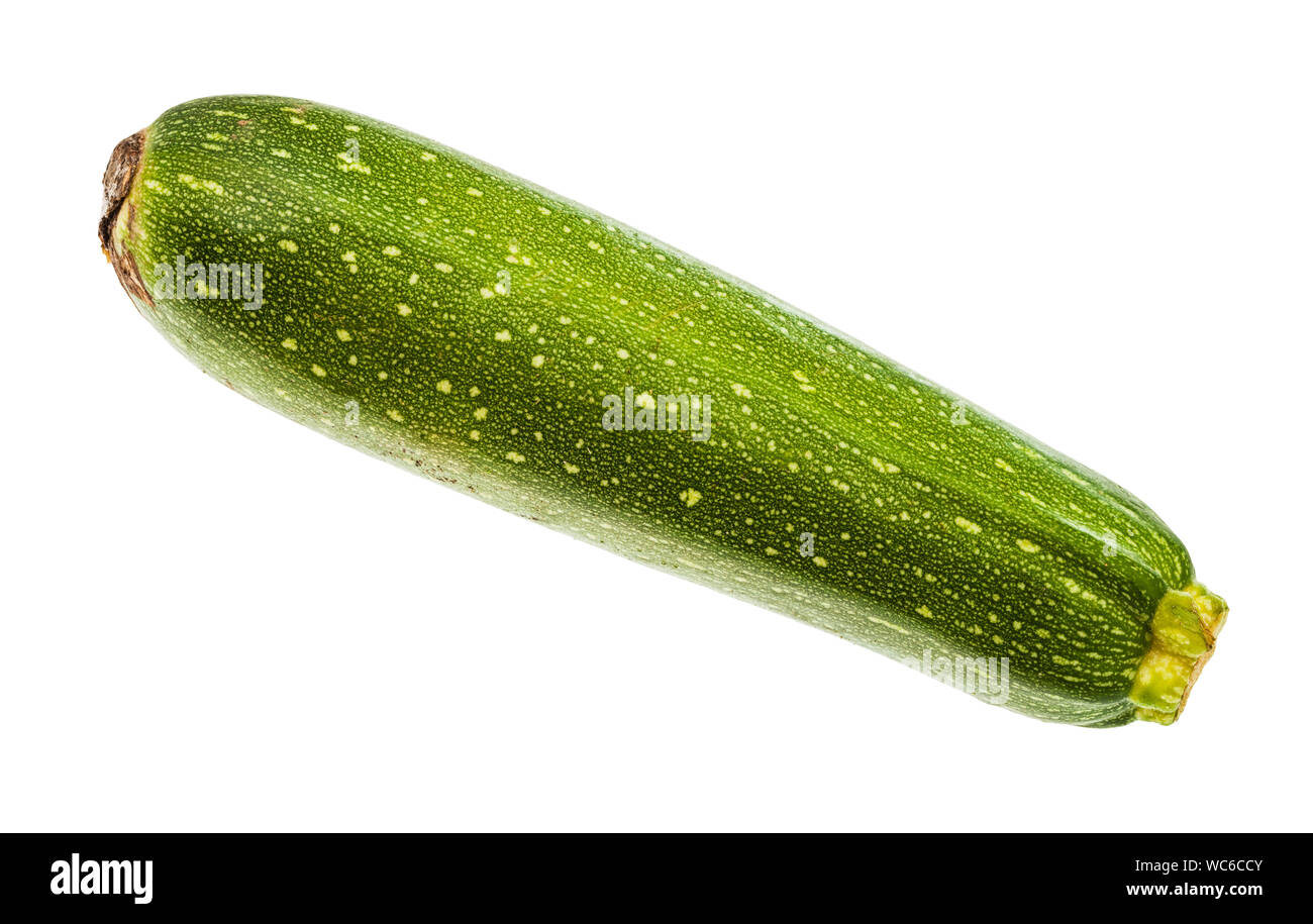 single green zucchini vegetable isolated on white background Stock ...