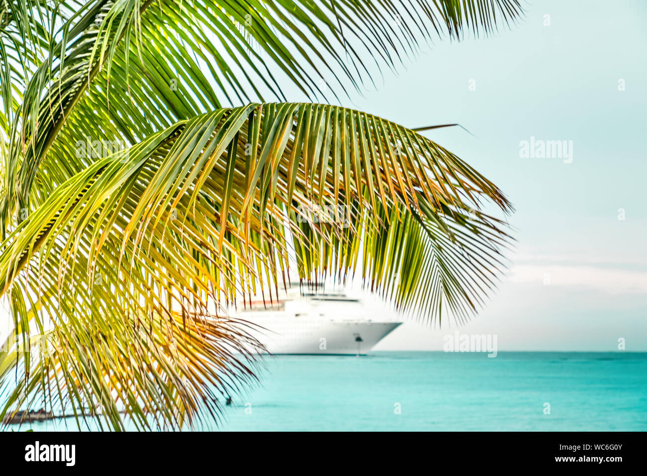 Cruise ship palm trees hi-res stock photography and images - Alamy