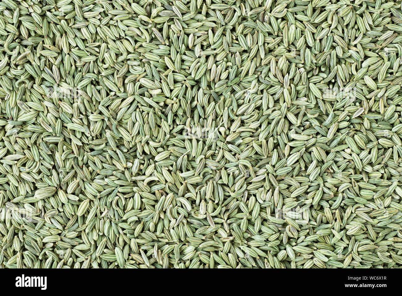 Fennel seeds filling full frame for food background or texture Stock ...