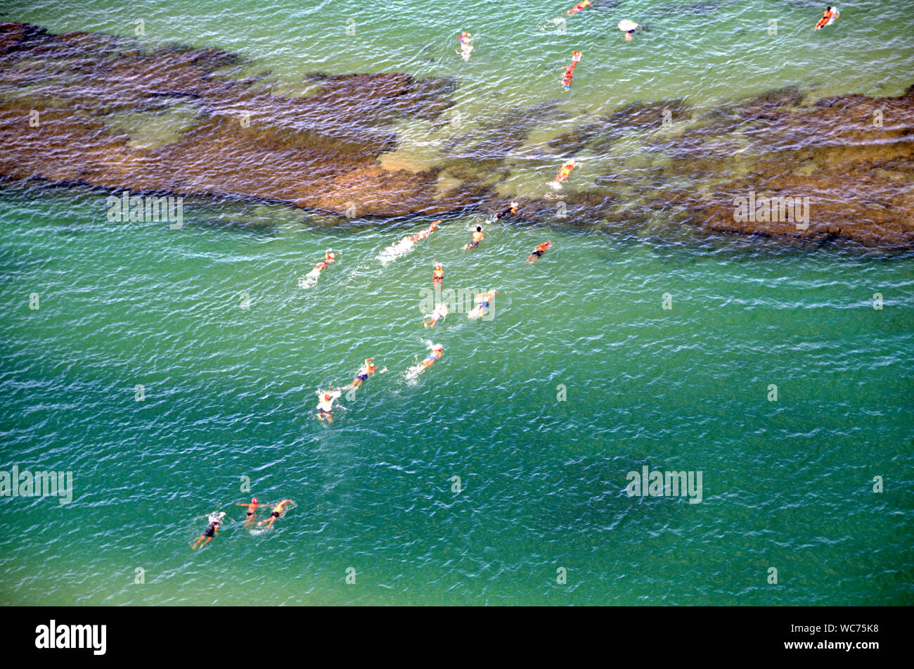Swimmers or swimming hi-res stock photography and images - Alamy