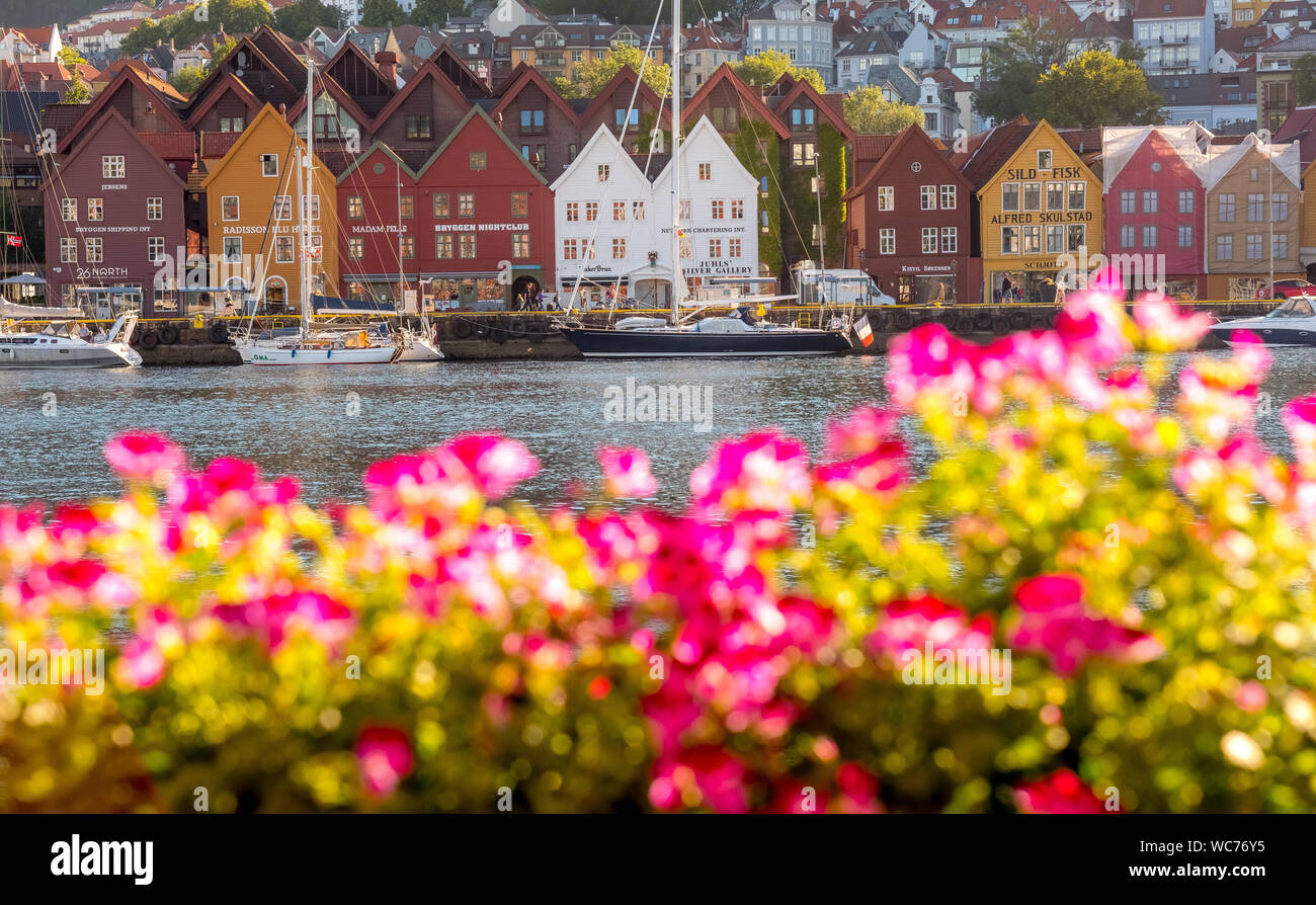 colourful row of houses in Bergen harbour, sailing ships, Hordaland ...